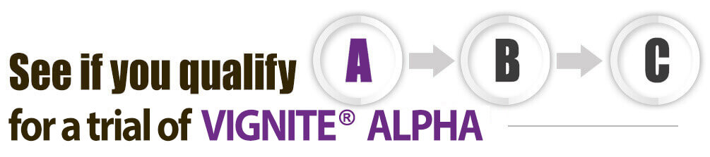Vignite Alpha : 14 Day Trial Offer