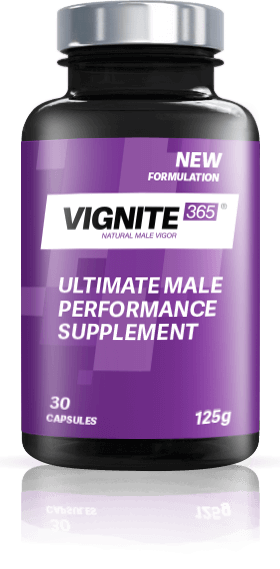 Privacy Policty | Vignite